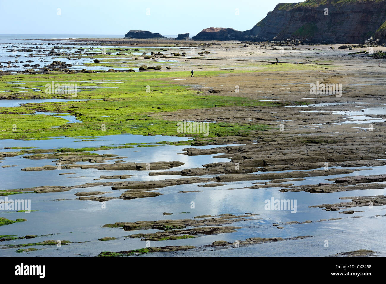 low tide rock pools on whitby beach north yorkshire england uk Stock ...
