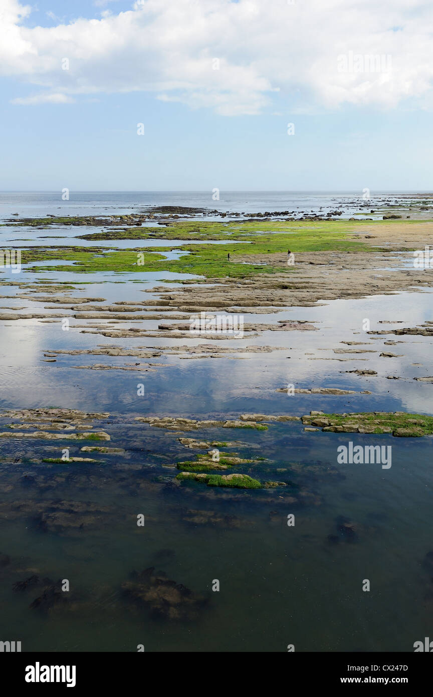 low tide rock pools on whitby beach north yorkshire england uk Stock ...