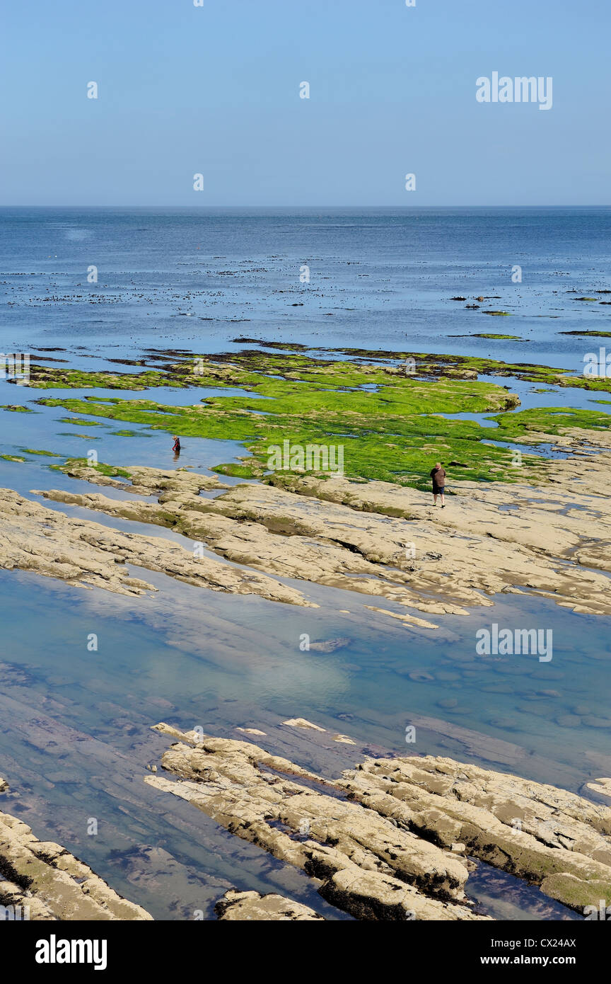 low tide rock pools on whitby beach north yorkshire england uk Stock ...