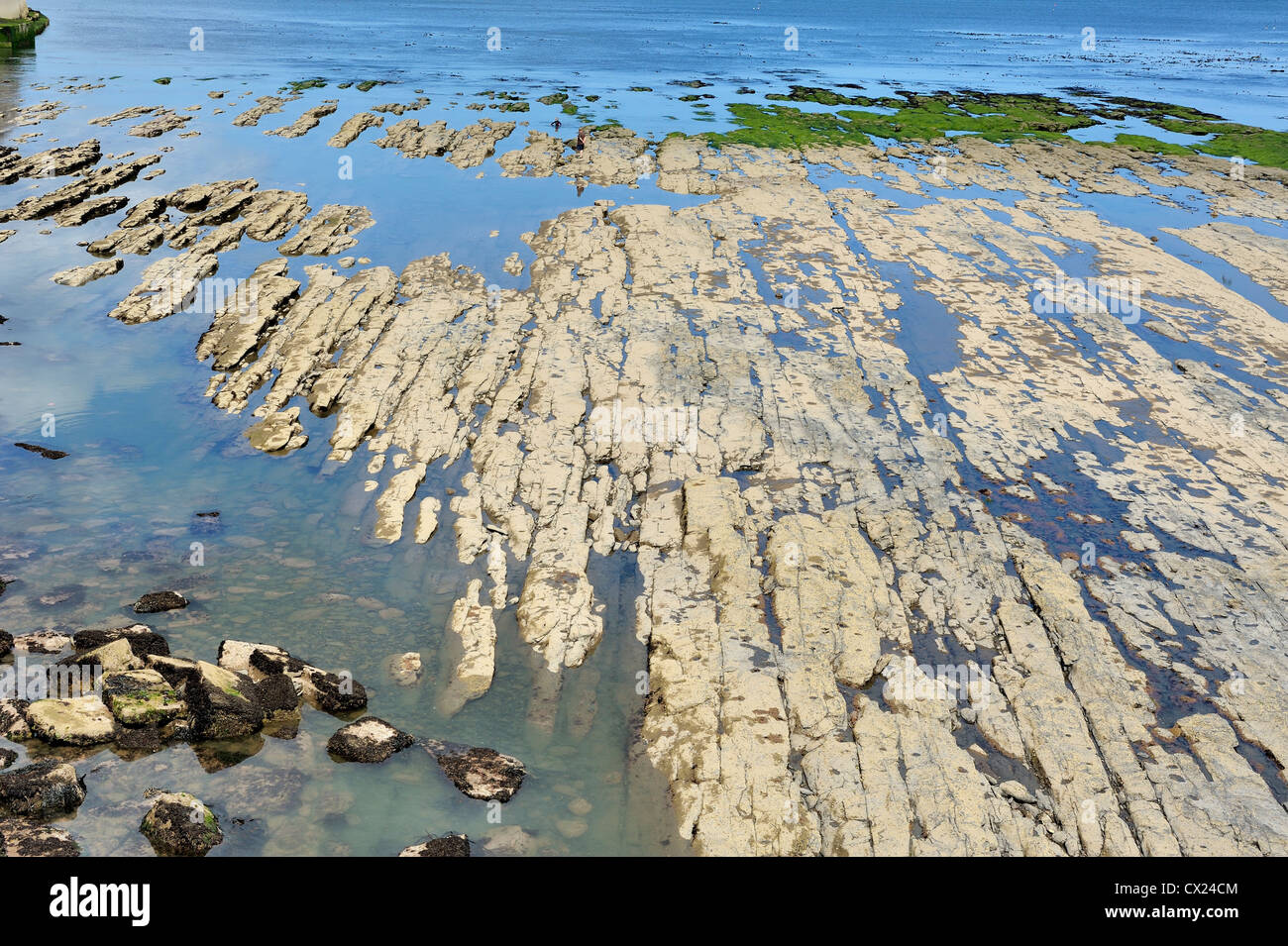 low tide rock pools on whitby beach north yorkshire england uk Stock ...