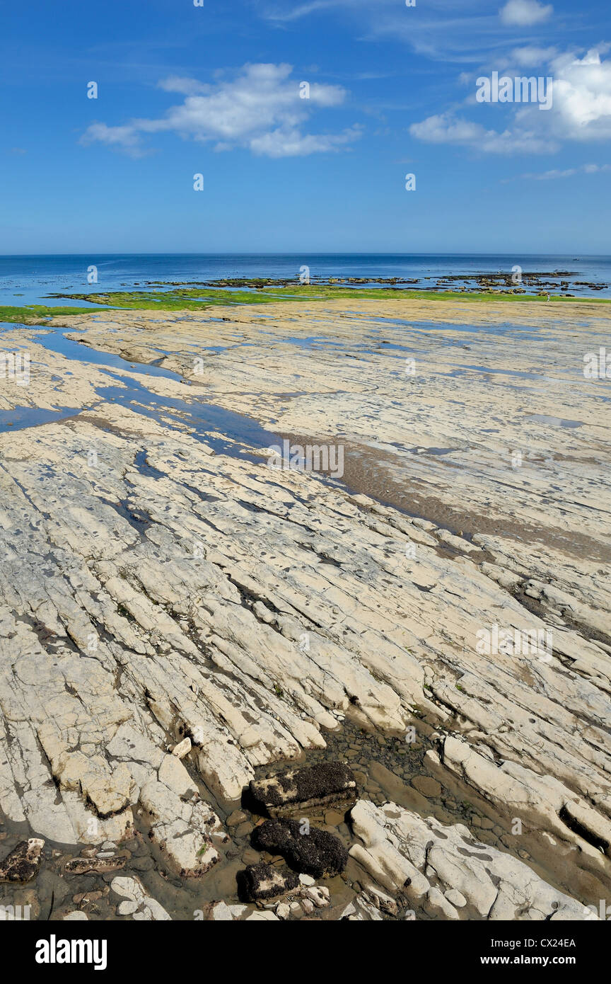 low tide rock pools on whitby beach north yorkshire england uk Stock ...