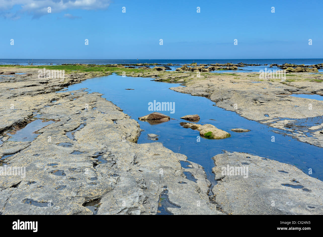 low tide rock pools on whitby beach north yorkshire england uk Stock ...