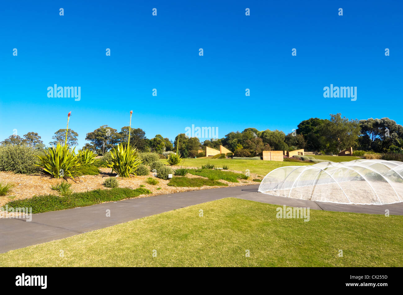 Australian botanic garden mount annan hi-res stock photography and ...