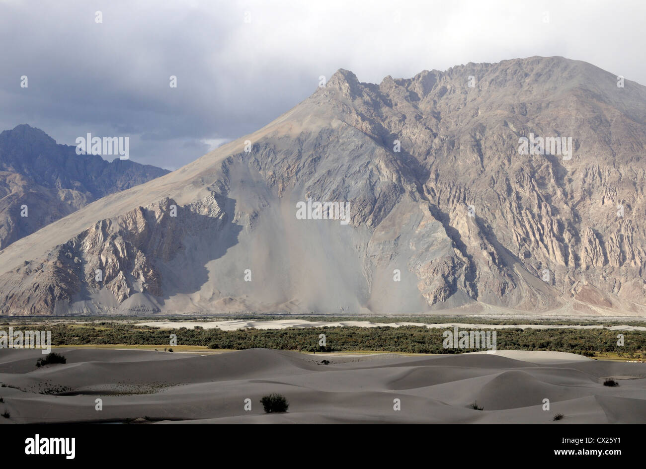 Sand dunes at Hundar in the Shyok valley in the north east of Ladakh ...
