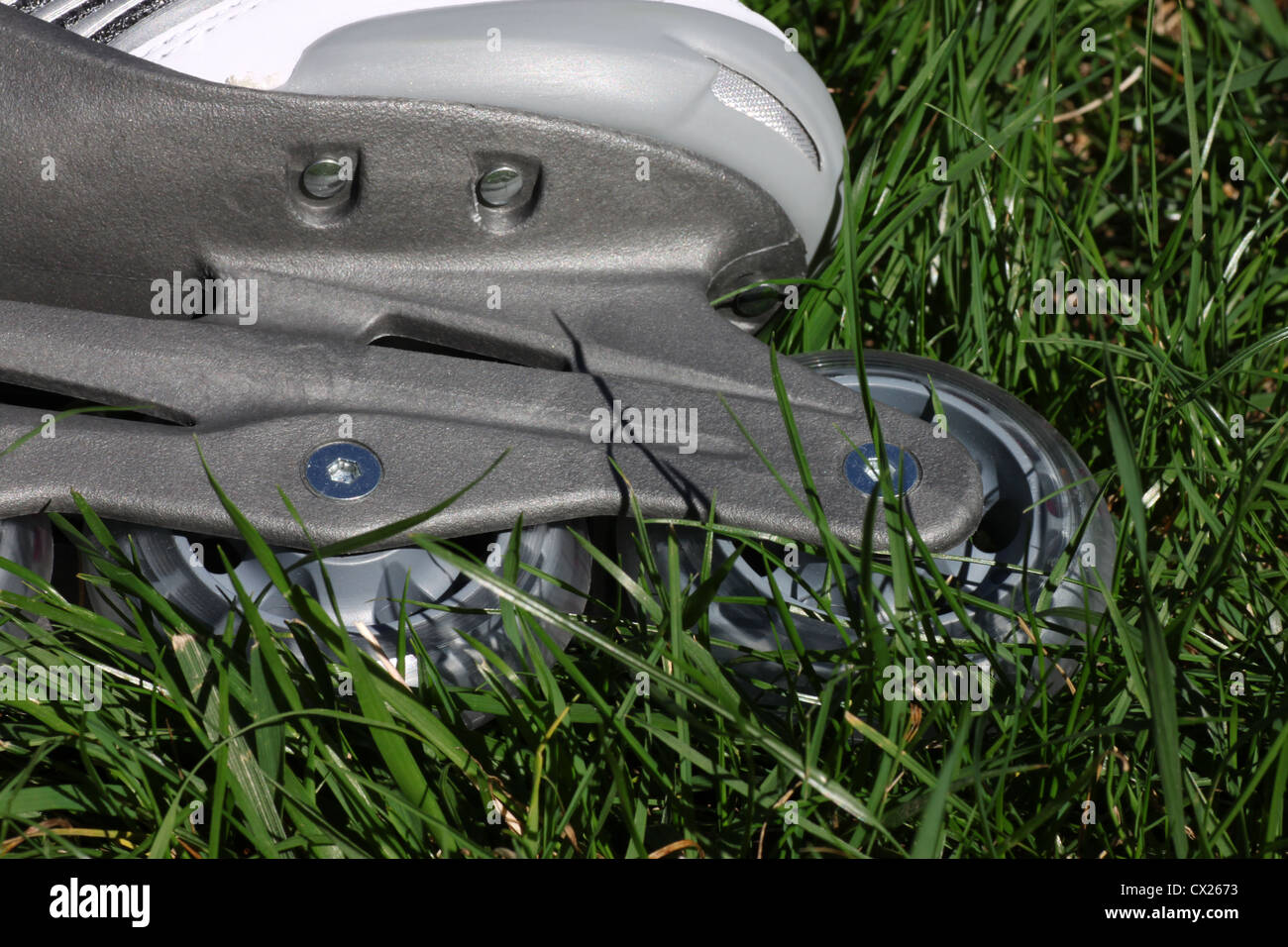 close up of wheel of skate in grass Stock Photo - Alamy