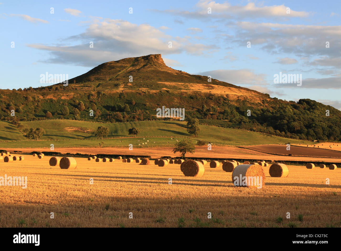 Hay bales hill hi-res stock photography and images - Alamy