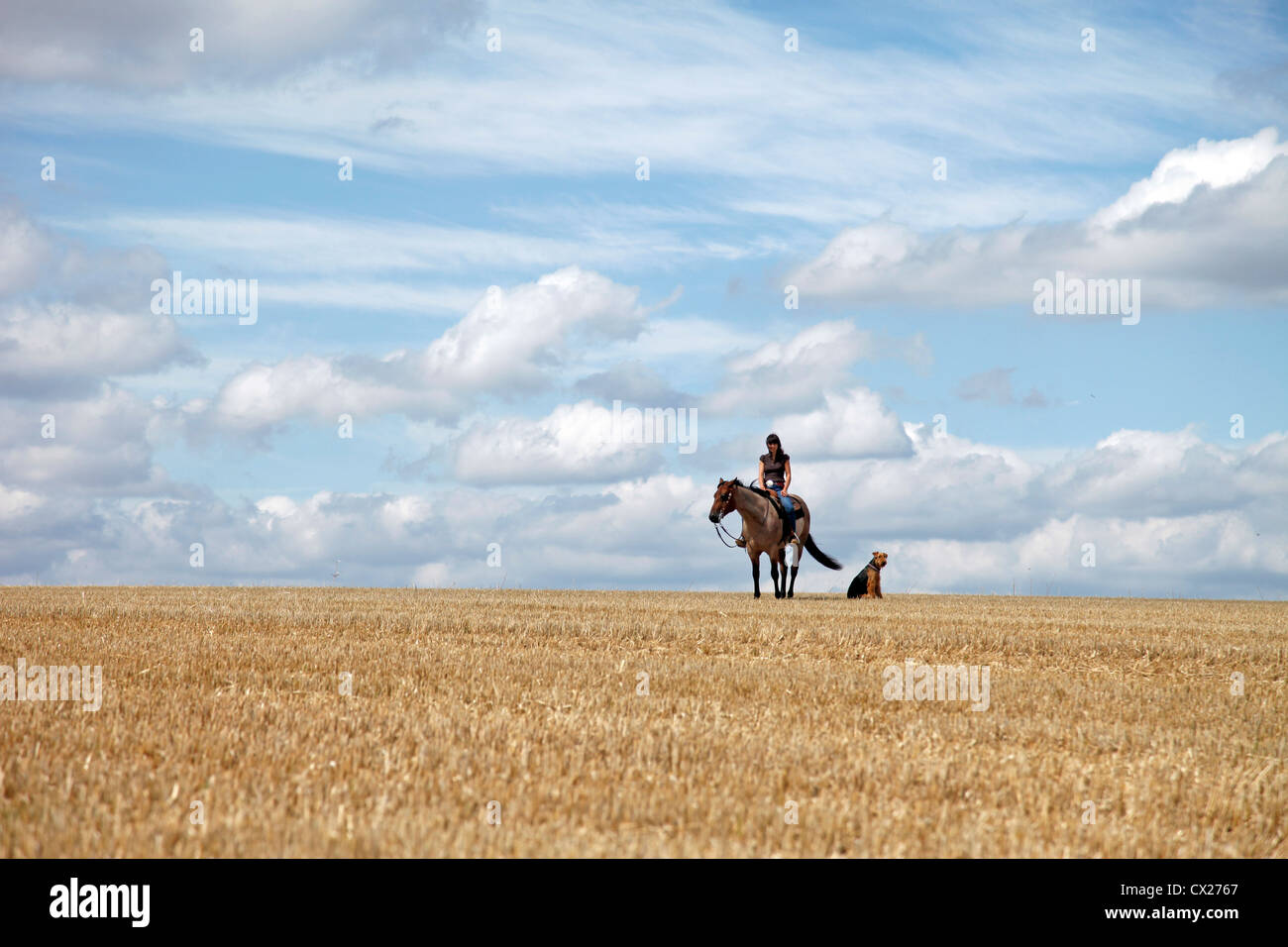 western riding horsewoman Stock Photo - Alamy