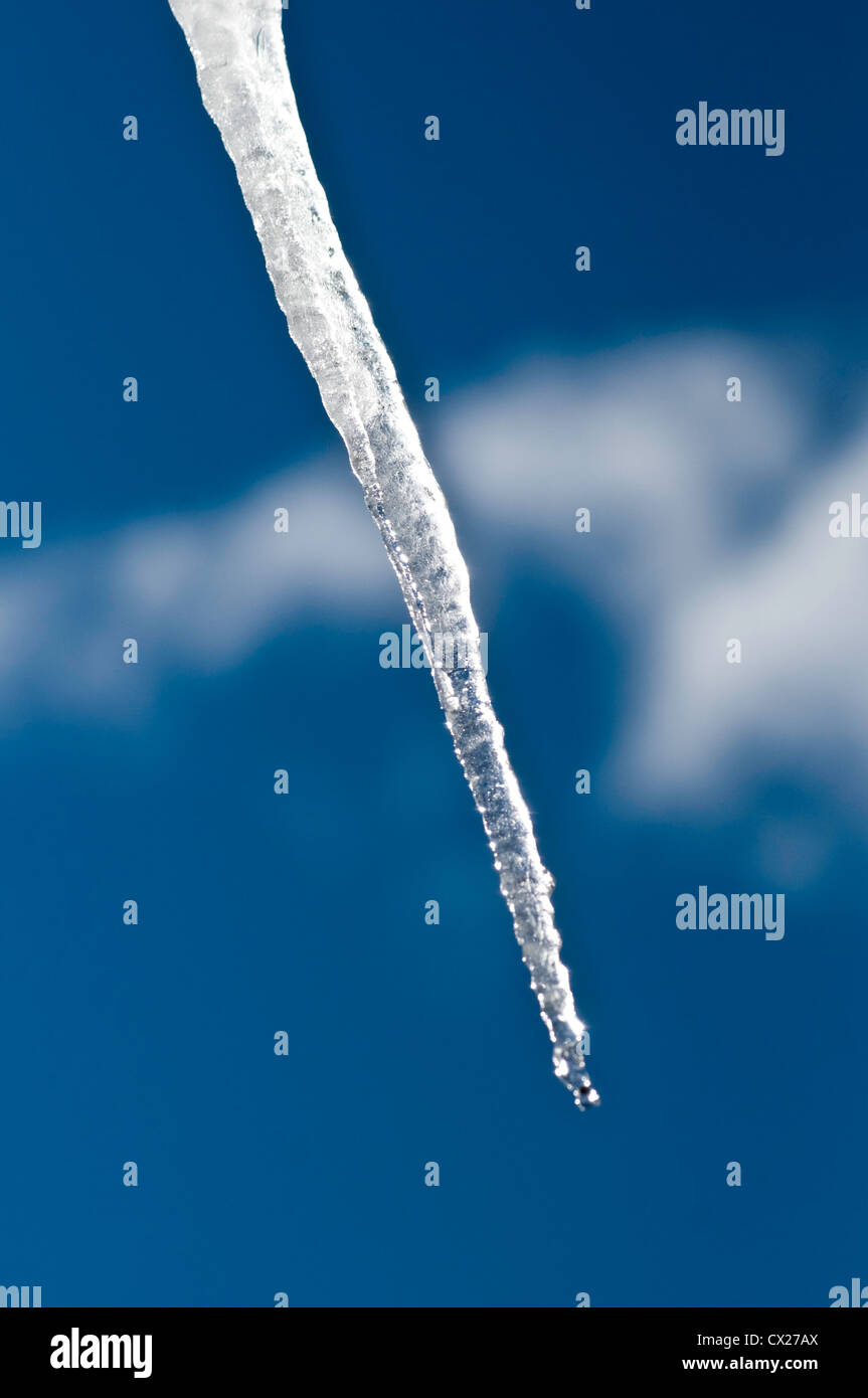 a single icicle against a blue sky and wispy cloud Stock Photo - Alamy