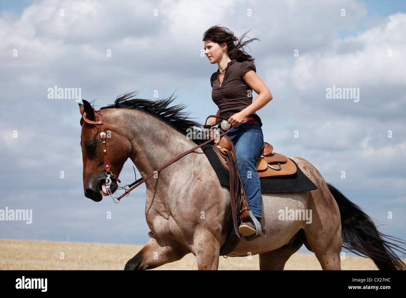 western riding horsewoman Stock Photo - Alamy