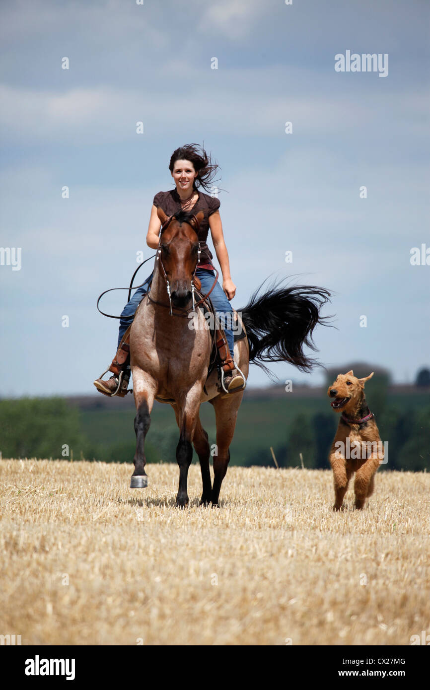 western riding horsewoman Stock Photo - Alamy