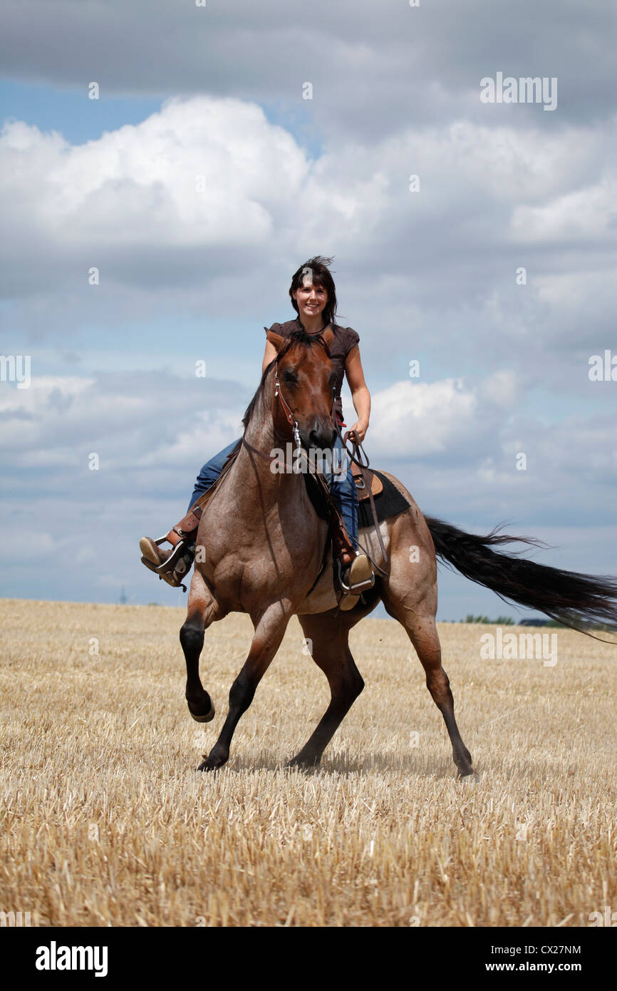 western riding horsewoman Stock Photo - Alamy