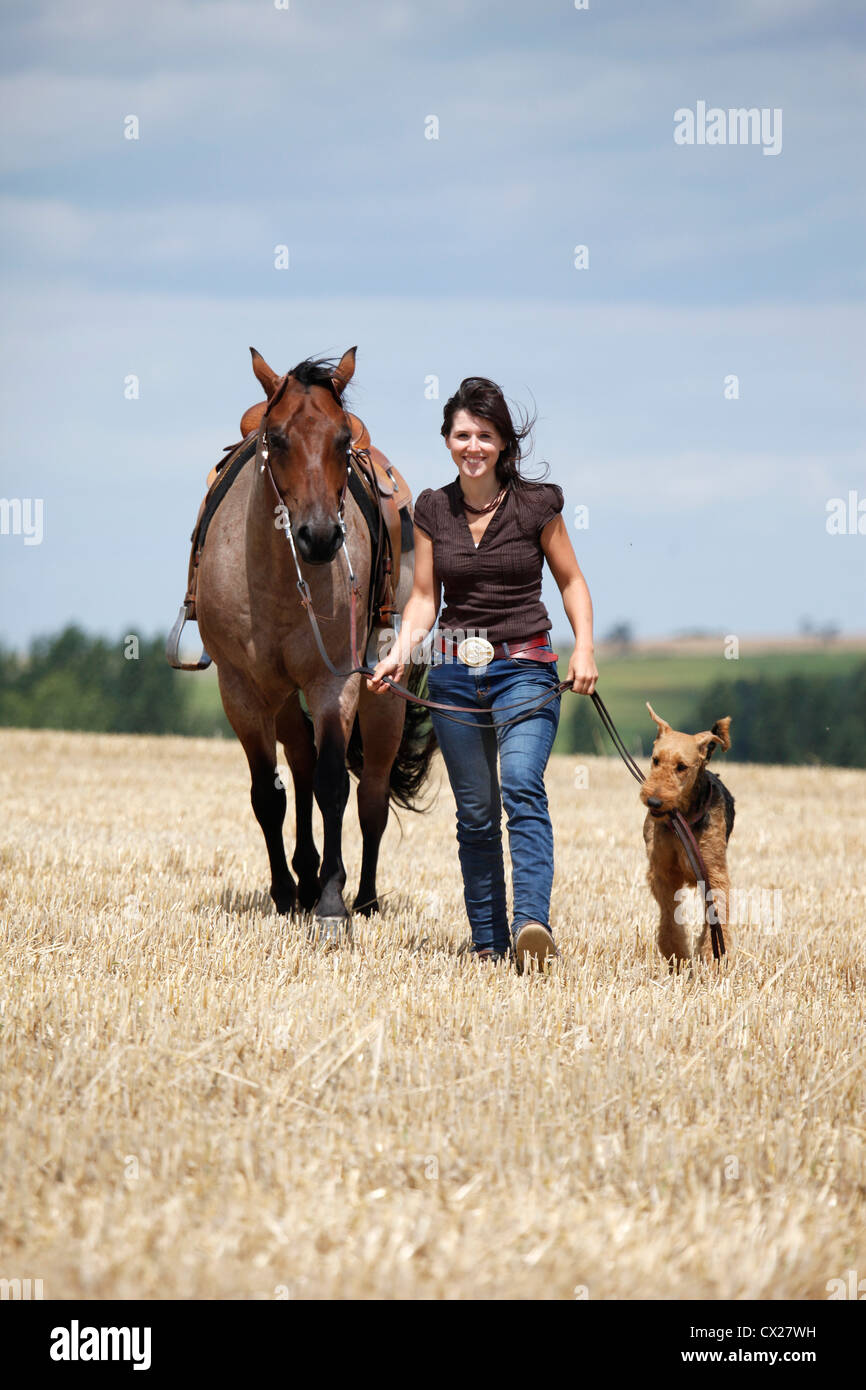 western riding horsewoman Stock Photo - Alamy