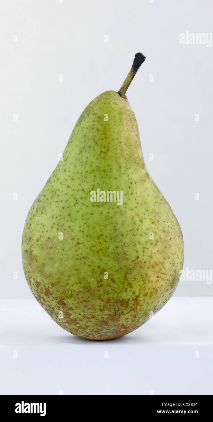 a single Pear on white background Stock Photo - Alamy