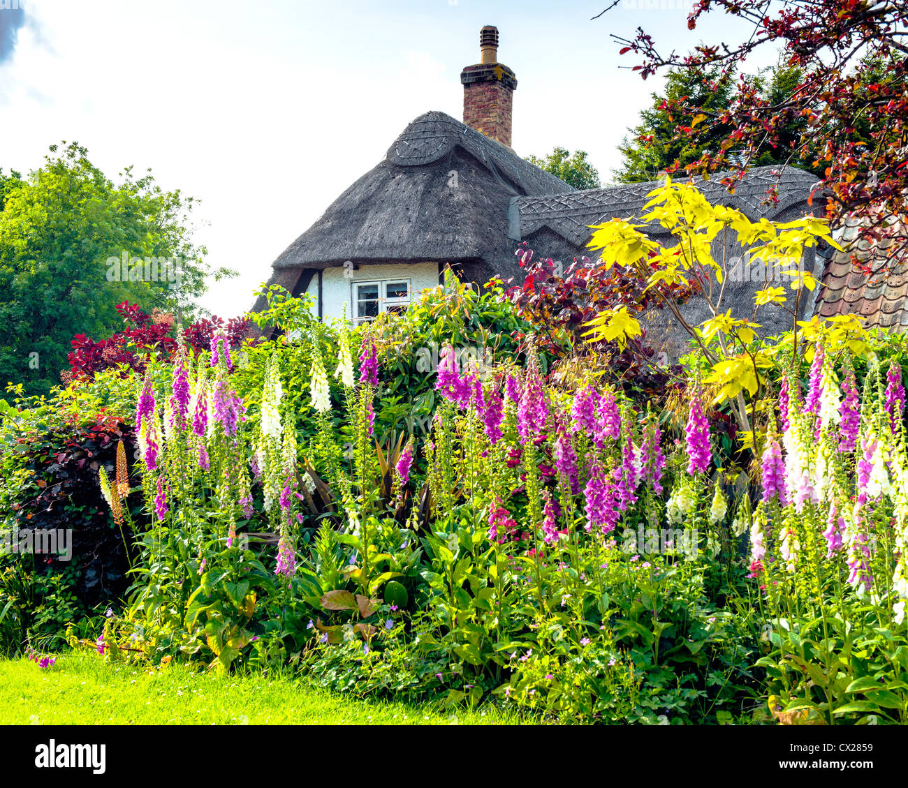 English Thatched Cottage with garden Stock Photo - Alamy