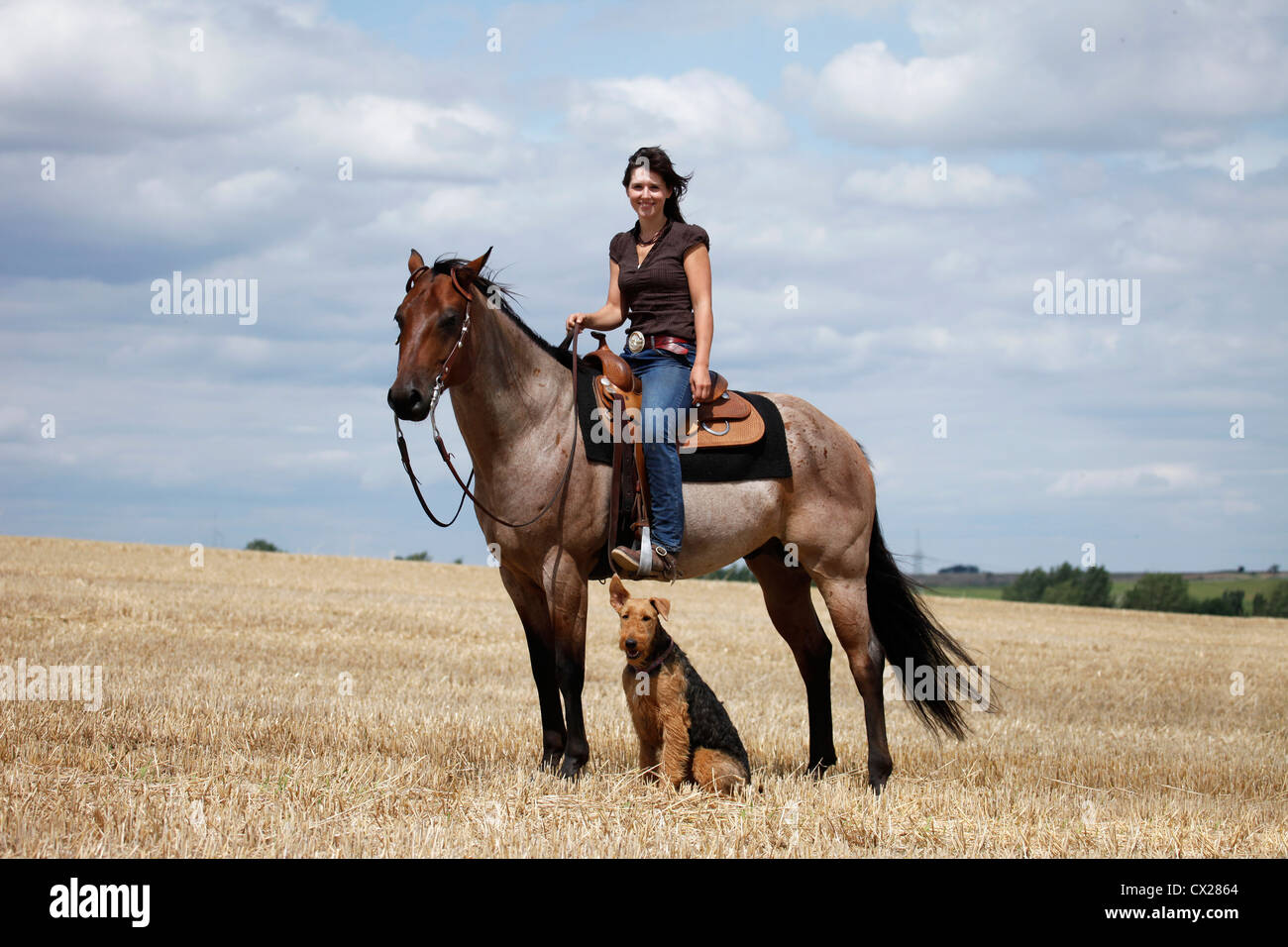 western riding horsewoman Stock Photo - Alamy