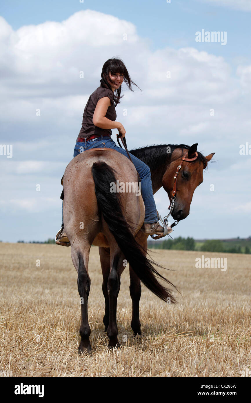 western riding horsewoman Stock Photo - Alamy