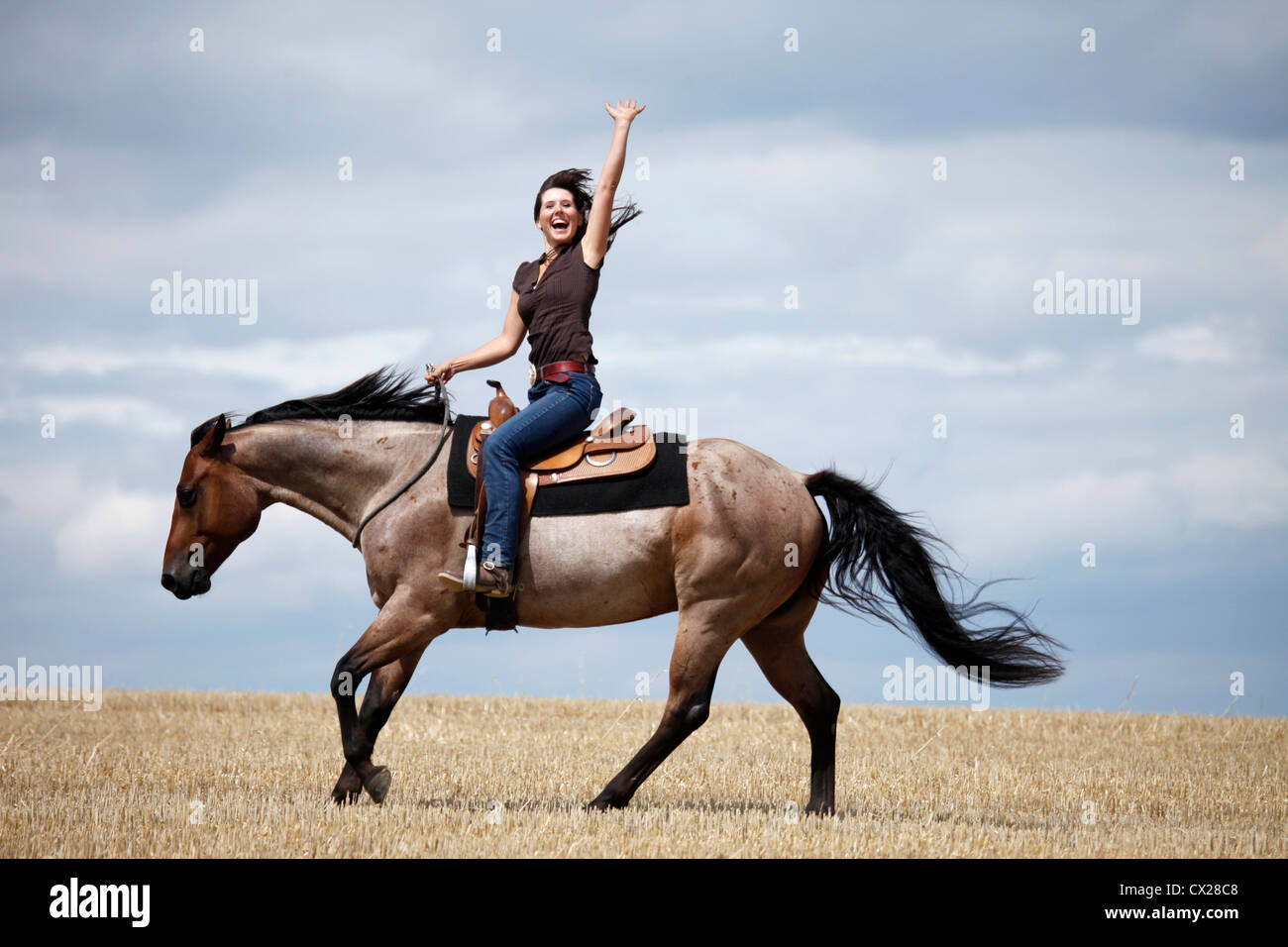 western riding horsewoman Stock Photo - Alamy