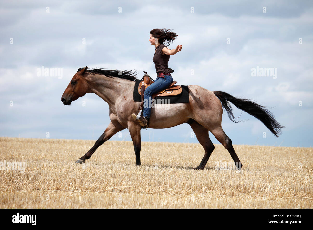 western riding horsewoman Stock Photo - Alamy