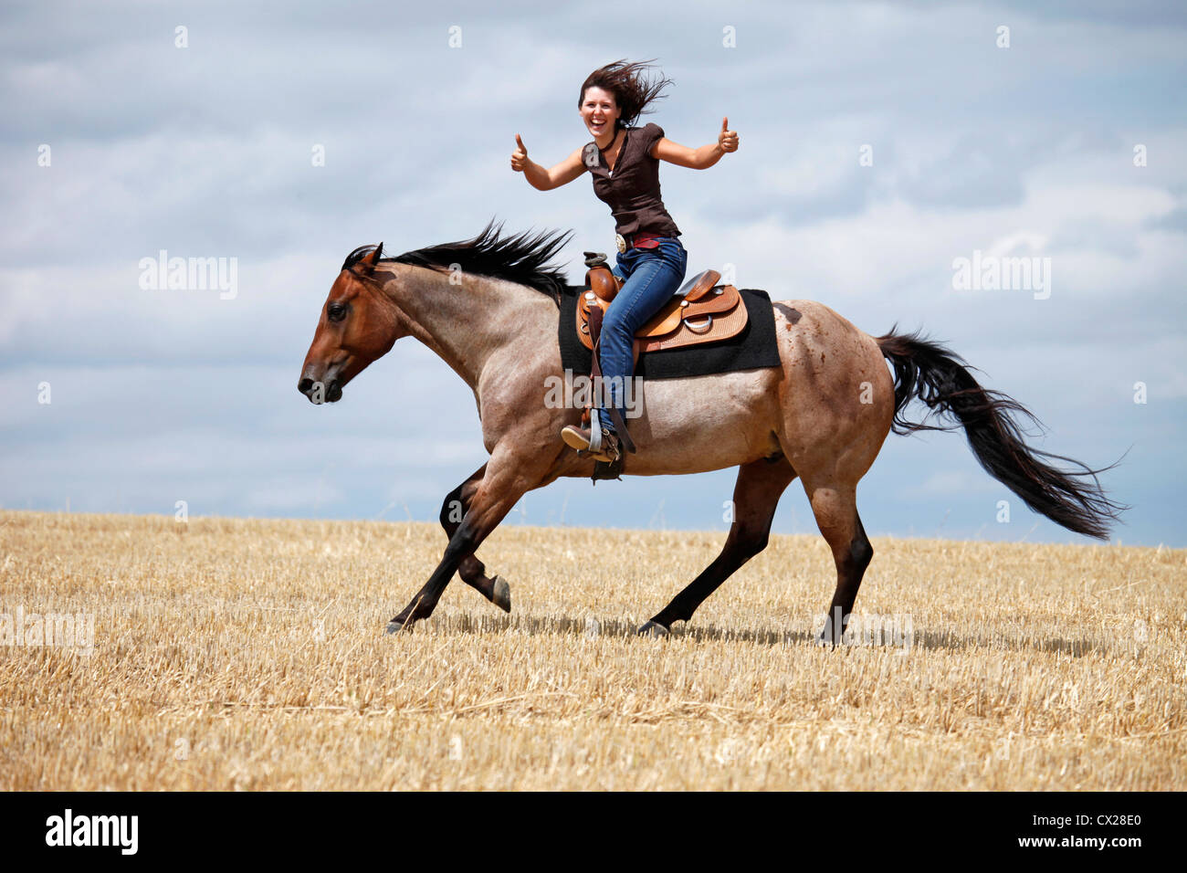 western riding horsewoman Stock Photo - Alamy