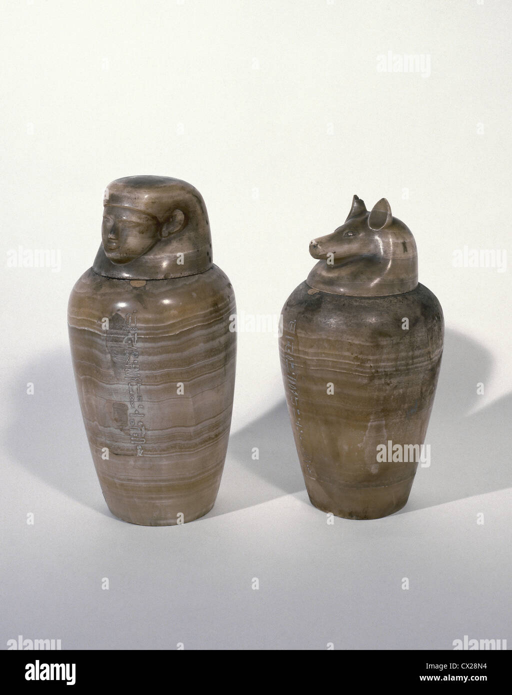 Egyptian Art. Canopic jars. It represents god Duamutef (jackal head ...