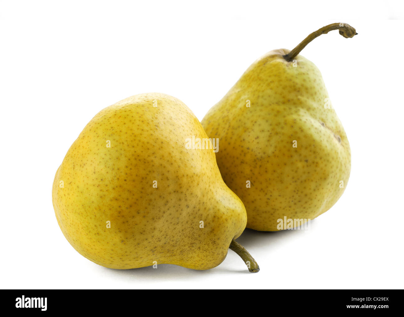 Two ripe and juicy pears on a white background Stock Photo - Alamy