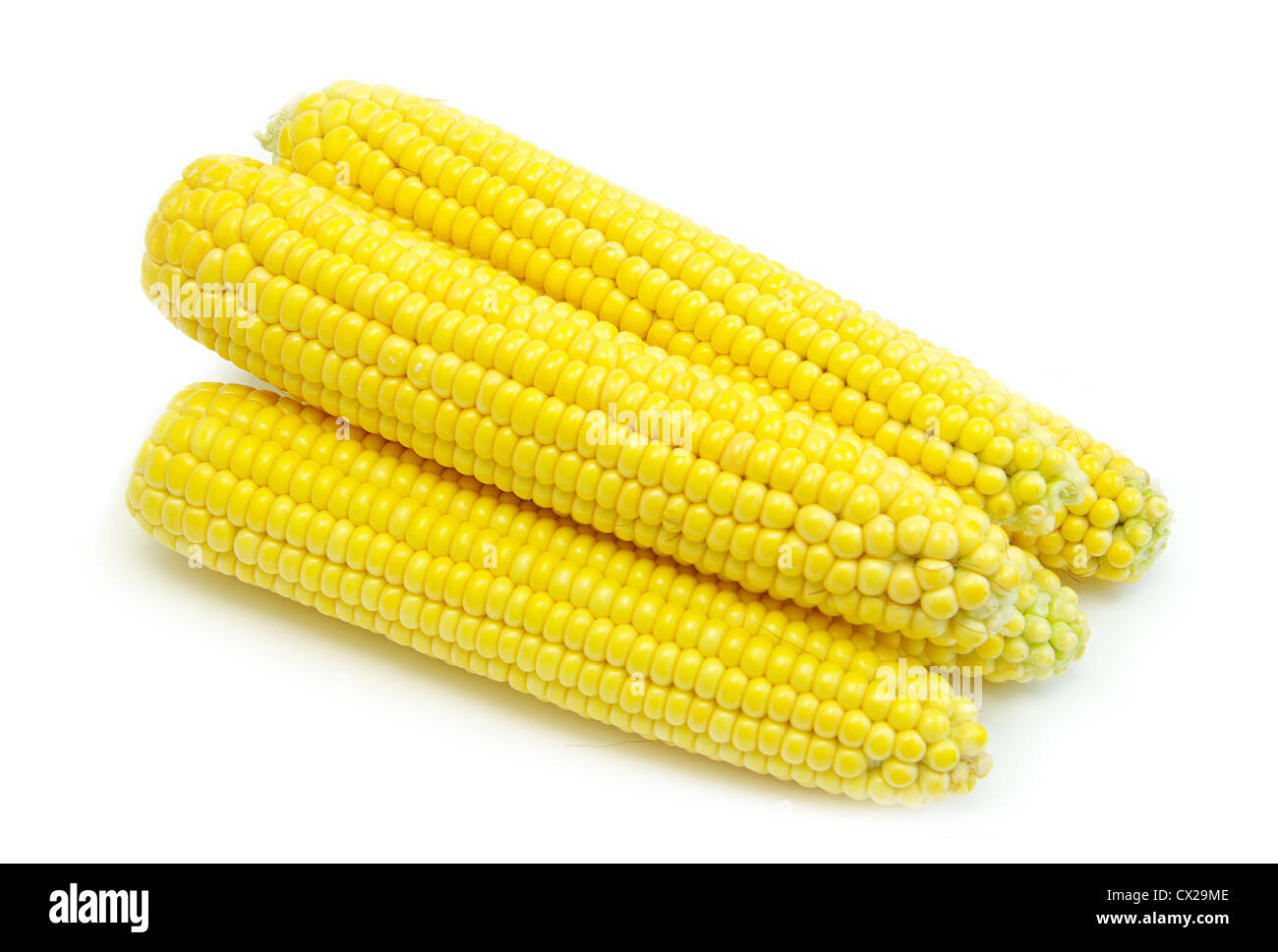 Sweet maize isolated on white background Stock Photo - Alamy