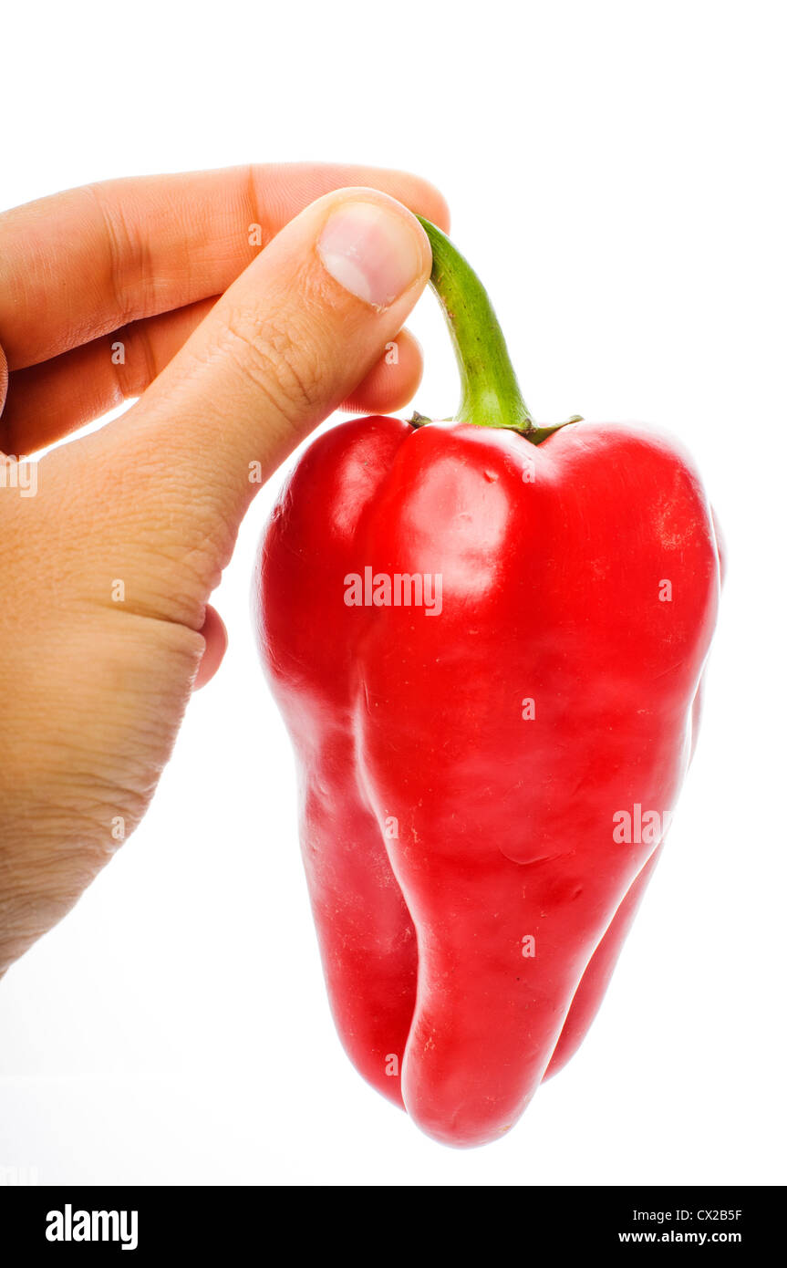 Hand with big red pepper isolated on white background Stock Photo - Alamy