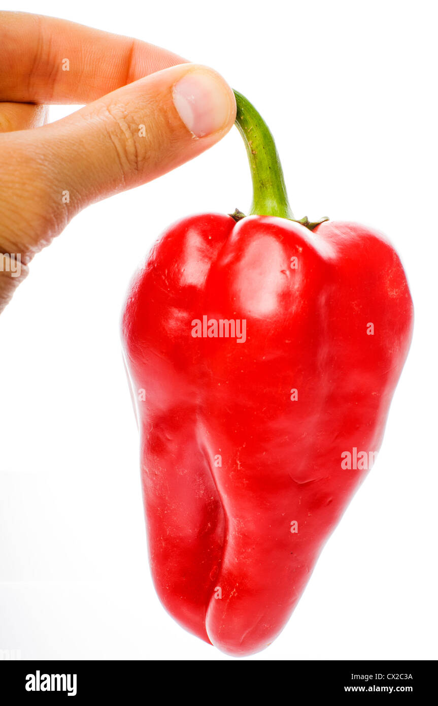 Hand with big red pepper isolated on white background Stock Photo - Alamy