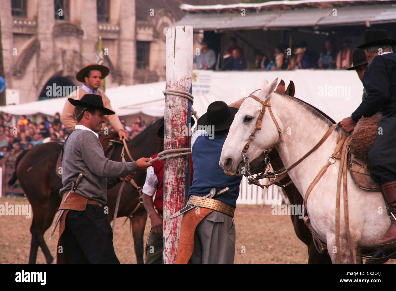 Montevideo stadium hi-res stock photography and images - Alamy
