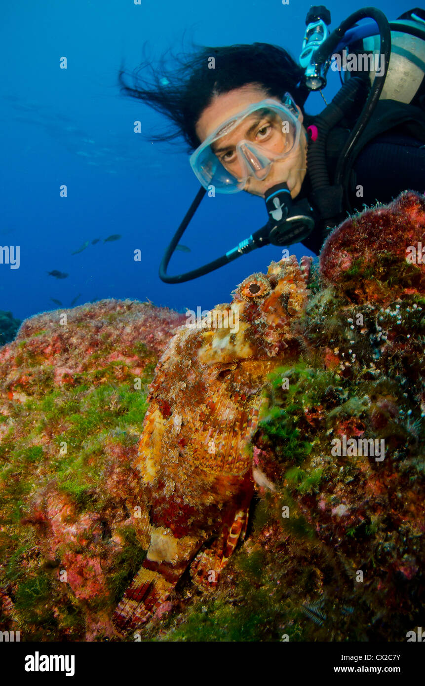 Cocos Island, Costa Rica, underwater sea life, diver, scorpion fish ...