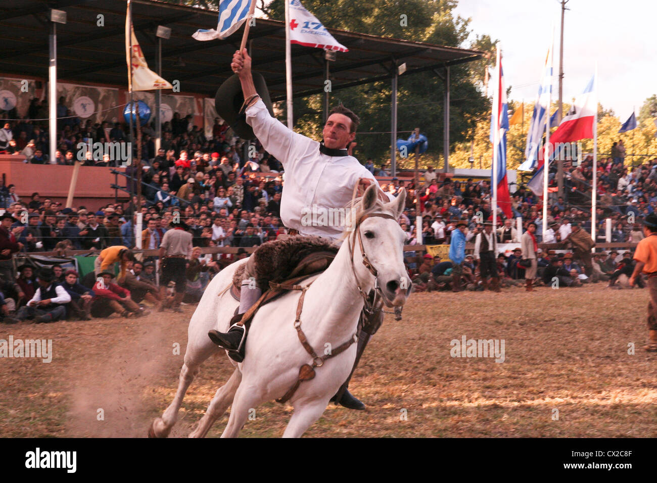 Stadium in uruguay hi-res stock photography and images - Alamy