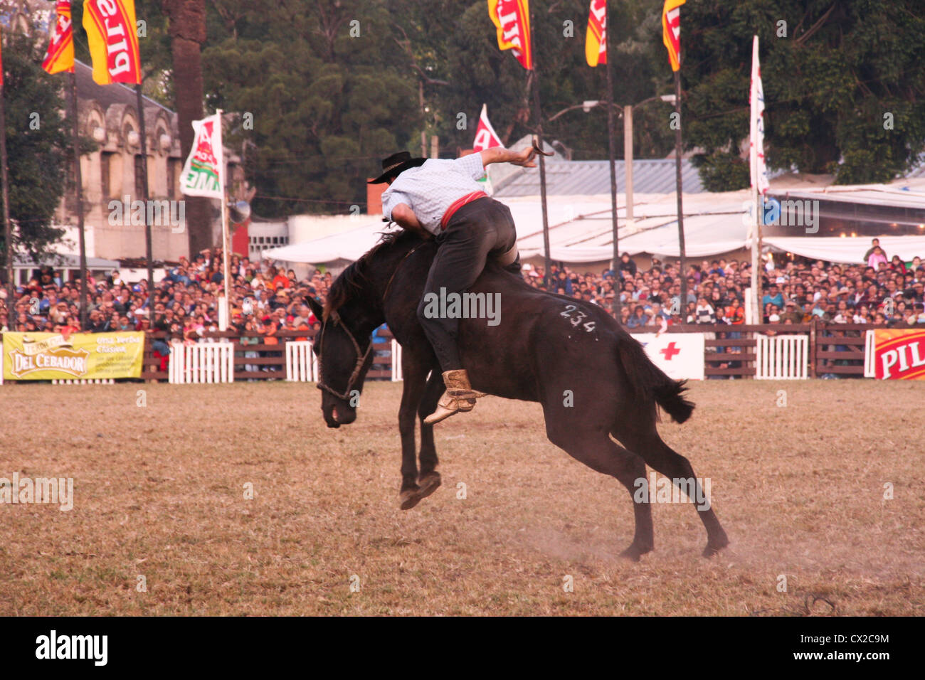 Montevideo stadium hi-res stock photography and images - Alamy
