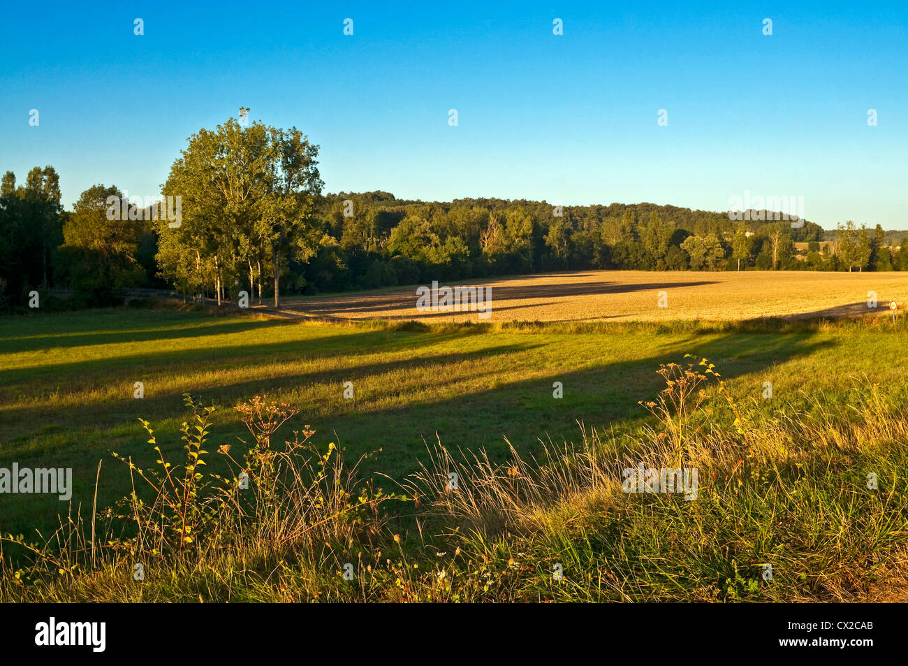 Woodland farmland hi-res stock photography and images - Alamy