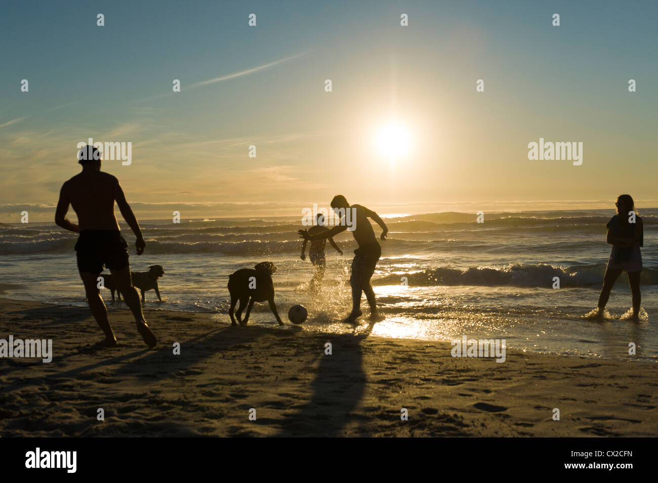 People playing football with their dogs on the beach of Llandudno ...