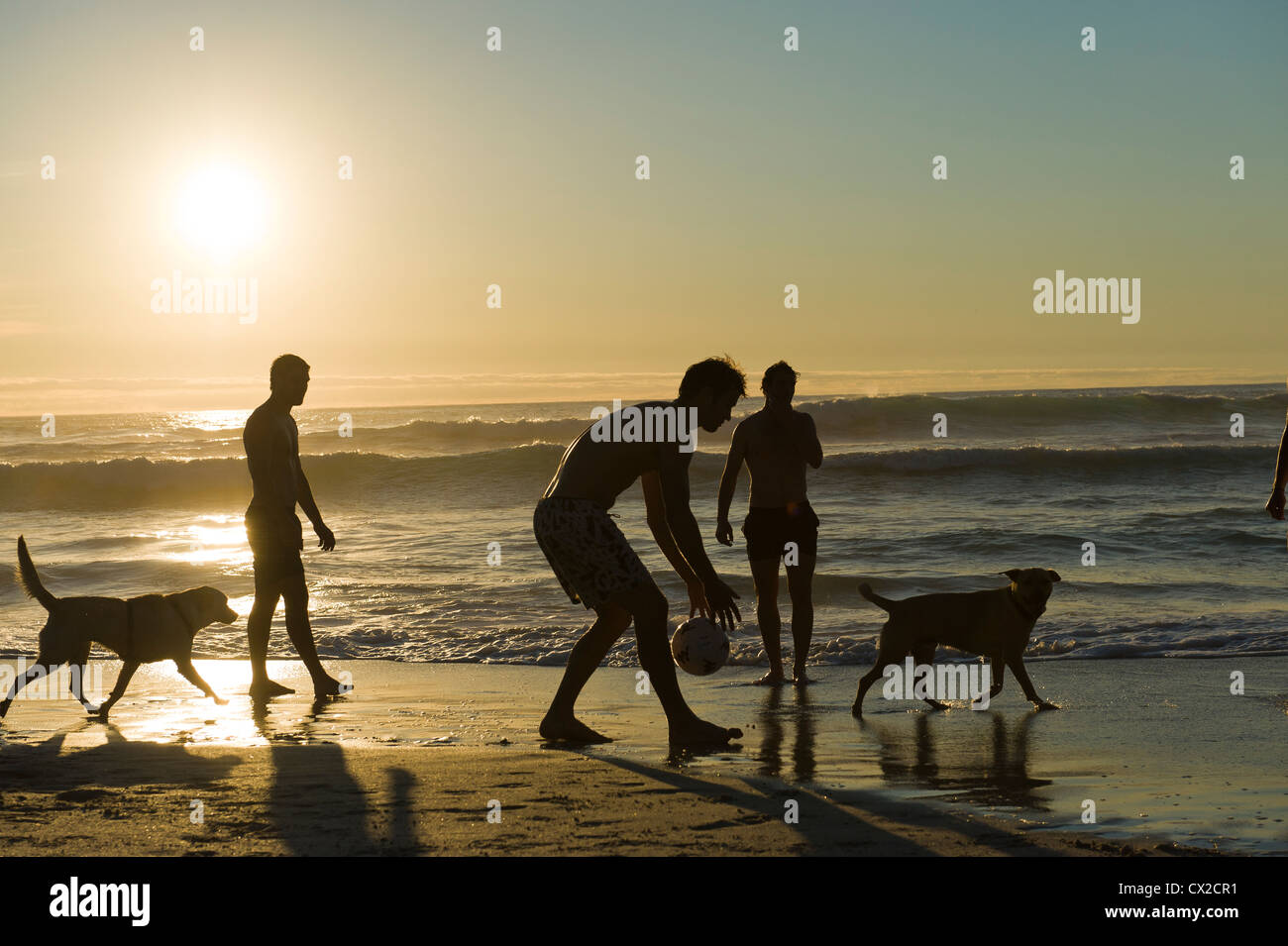 People playing football with their dogs on the beach of Llandudno ...