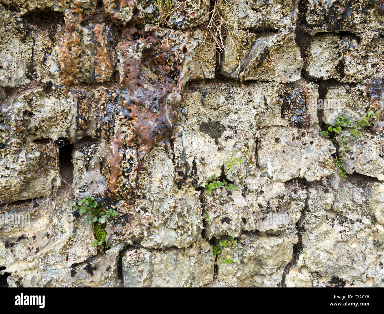 Mineral encrustation in the remains of a lime kiln set into escarpment ...