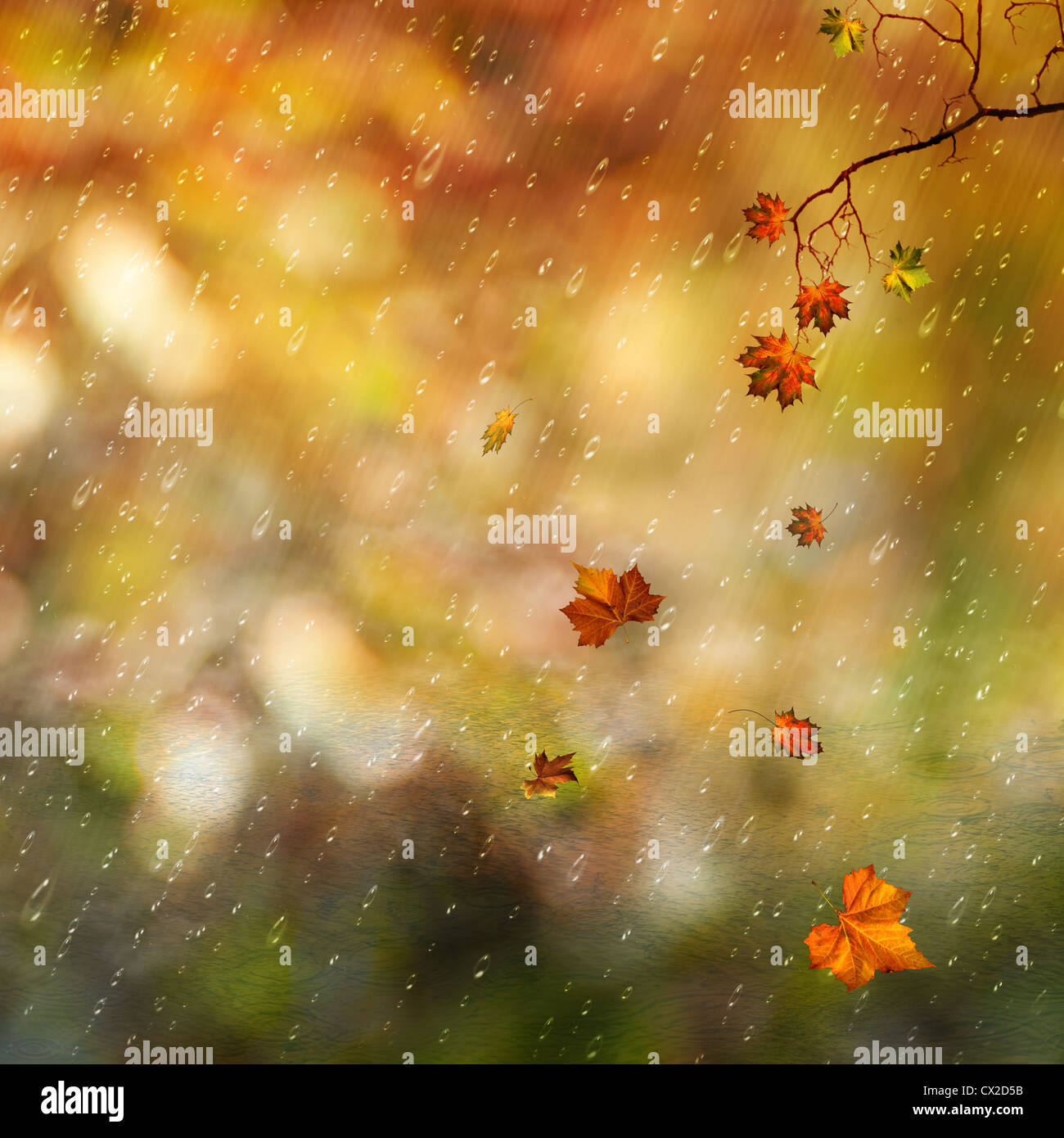 Fallen leaves and rain in the autumn forest, natural backgrounds Stock ...