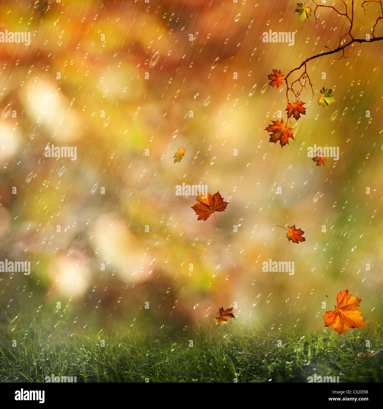 Sweet autumn rain on the meadow, abstract natural backgrounds Stock ...