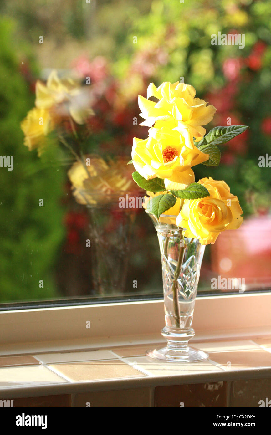 Crystal roses in crystal vase hi-res stock photography and images - Alamy