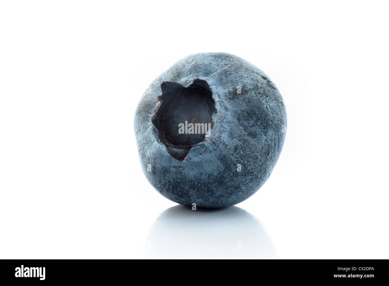 Single blueberry close up isolated on a white background Stock Photo ...
