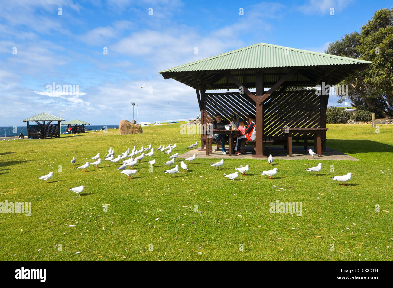 Gull point picnic area hi-res stock photography and images - Alamy