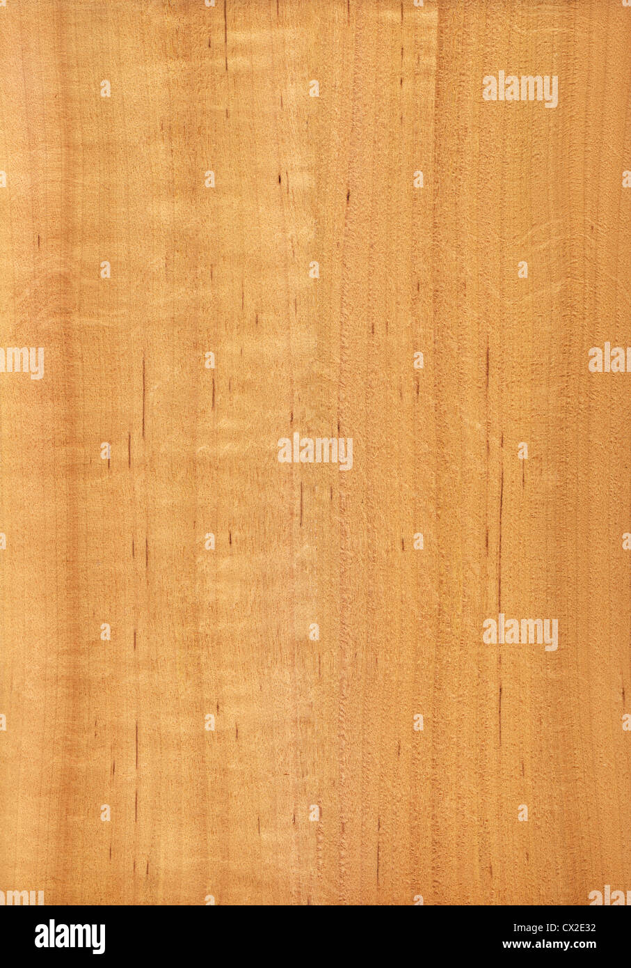 Texture of alder (high-detailed wood texture series Stock Photo - Alamy