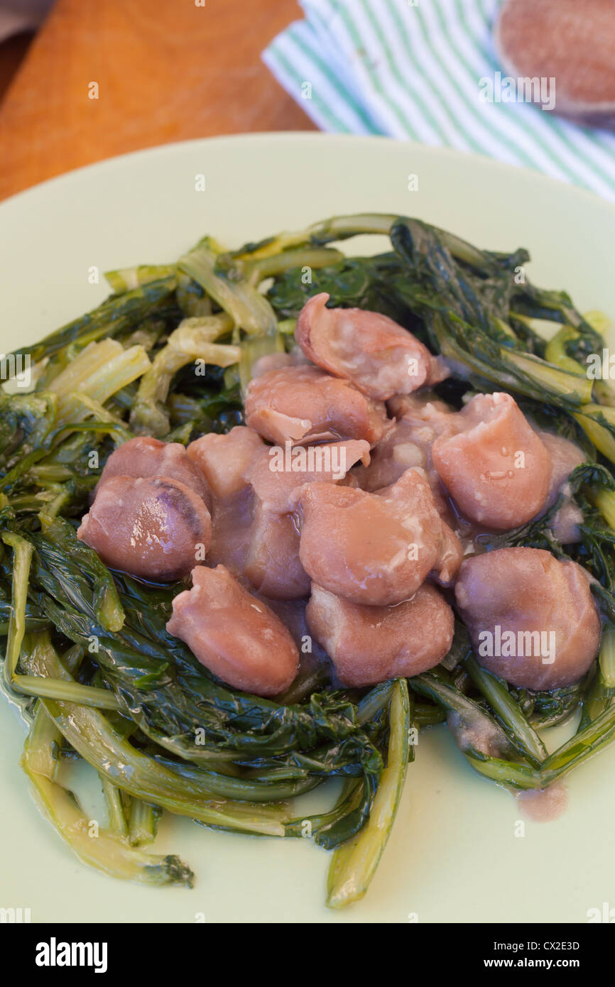 Broad beans and chicory, typical plate from the south of italy Stock ...