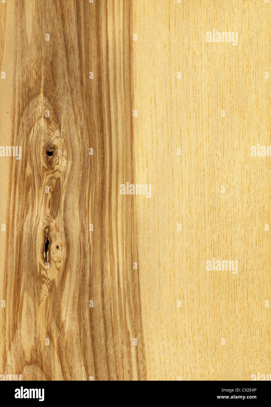 Texture of ash tree (high-detailed wood texture series Stock Photo - Alamy