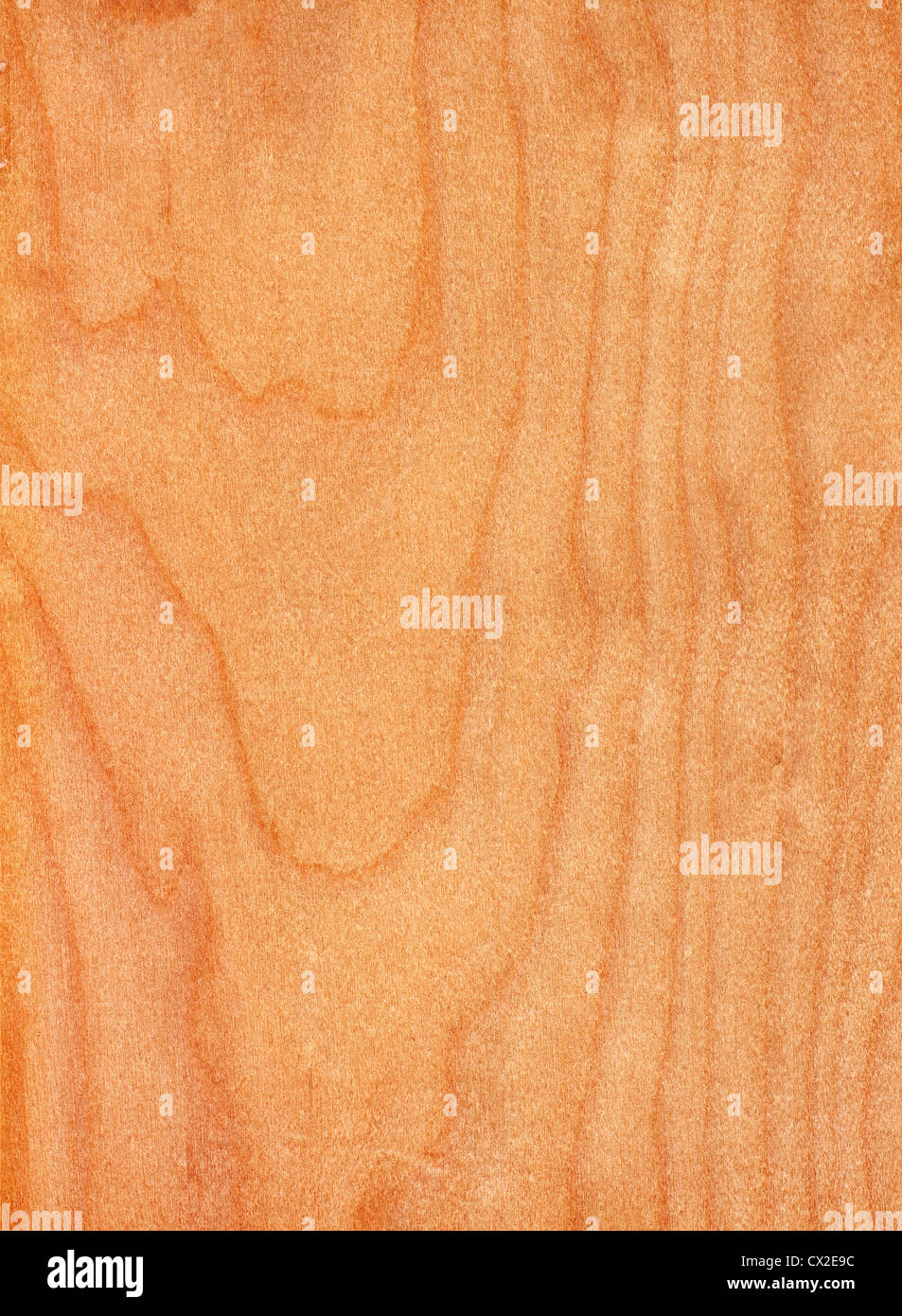 Texture of birch (high-detailed wood texture series Stock Photo - Alamy