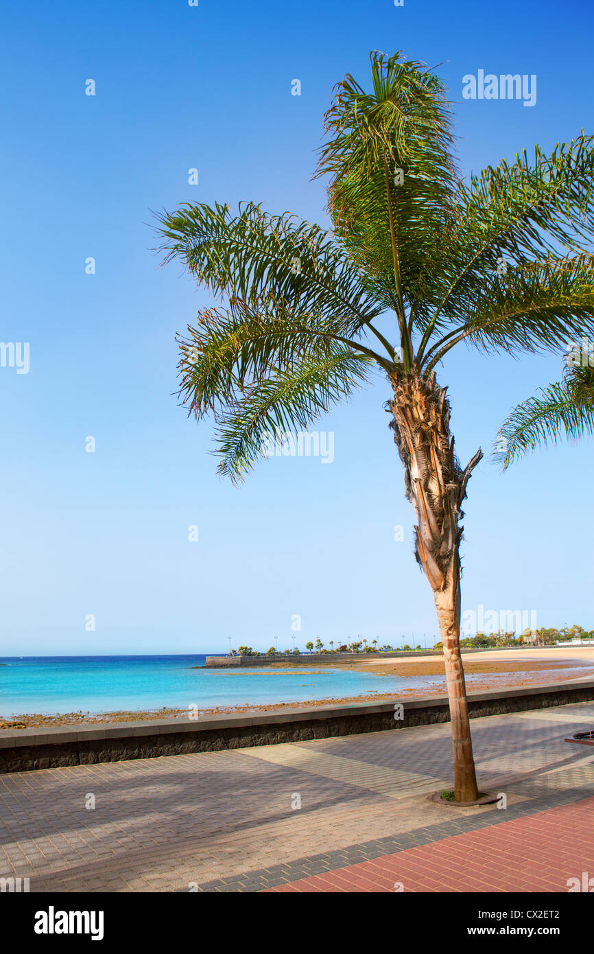 Arrecife Lanzarote Playa del Reducto beach in Canary Islands Stock ...