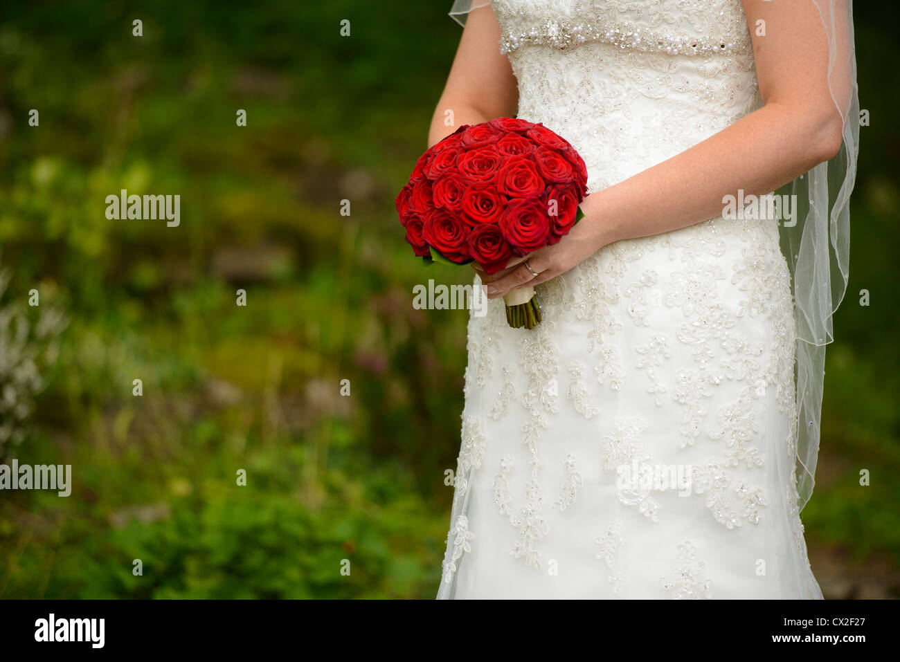 Rose veil hi-res stock photography and images - Alamy