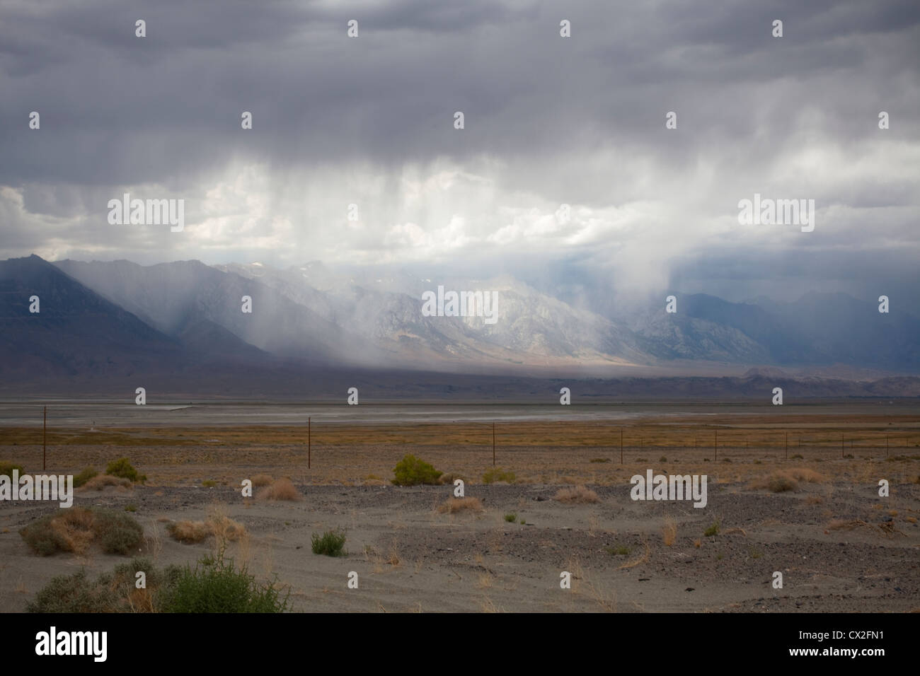 Rain at Death Valley National Park, California Stock Photo - Alamy