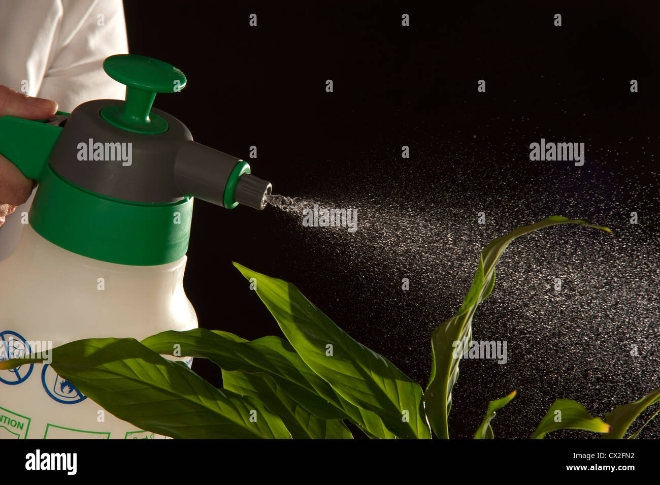 Spraying plant with water from pressurised container hi-res stock ...