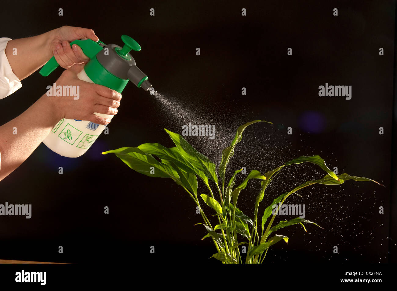 Plastic container plant hi-res stock photography and images - Alamy